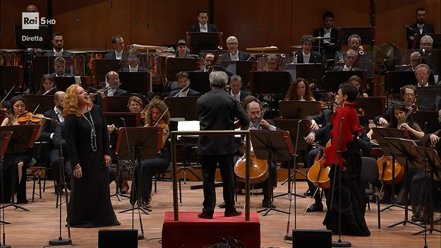 PetraLang.com - Bio English